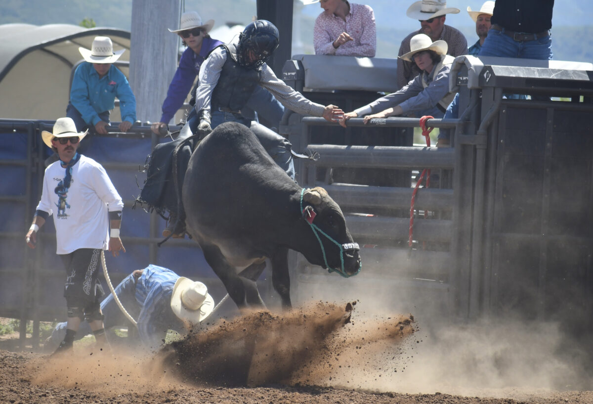LLOYD: High school rodeo highlights toughness and kindness despite ...